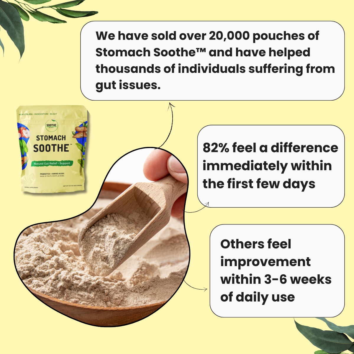 Stomach Soothe - Natural Heartburn Relief & Gut Support – Soothe Naturals