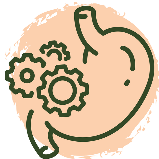 Stomach Soothe - Natural Heartburn Relief & Gut Support – Soothe Naturals